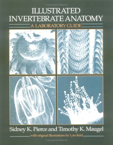 Amazon.com: Illustrated Invertebrate Anatomy: A Laboratory Guide ...