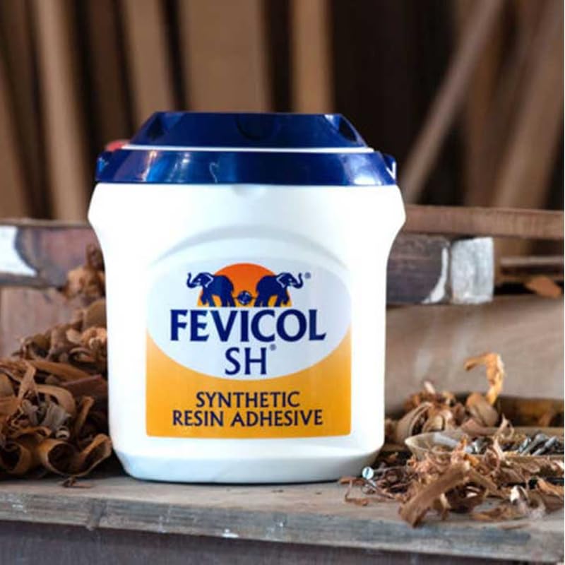 Pidilite Fevicol SH Synthetic Resin Adhesive, 250g, Easy to Use Wood ...