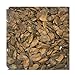 Amazon.com : Abere Seeds (Hunteria Umbellata) - 12 Seeds : Patio, Lawn ...