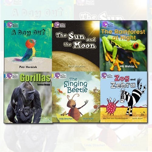 Collins Big Cat Reading Lions Phonics Level 2 6 Books Bundle Collection ...
