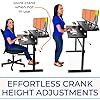 Amazon.com: Stand Steady Tranzendesk | 55 Inch Dual Level Standing Desk ...