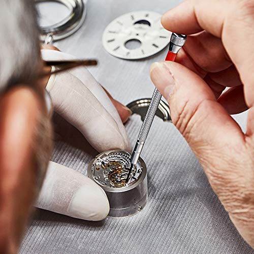 1 Pack Precision Screwdriver Set, Small Screwdriver Kit in case ...