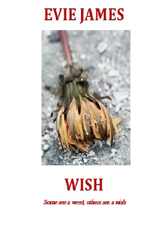 Amazon.in: Evie James: books, biography, latest update