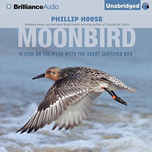 Amazon.com: Moonbird: A Year on the Wind with the Great Survivor B95 ...