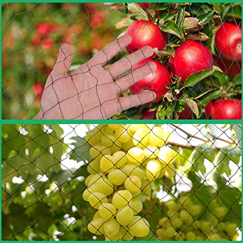 Vogelschutznetz 15X15M – Die 15 besten Produkte im Vergleich ...