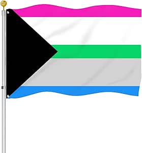 Amazon.com : Demisexual Poly Demi Sexual Polyromantic Pride Flags ...