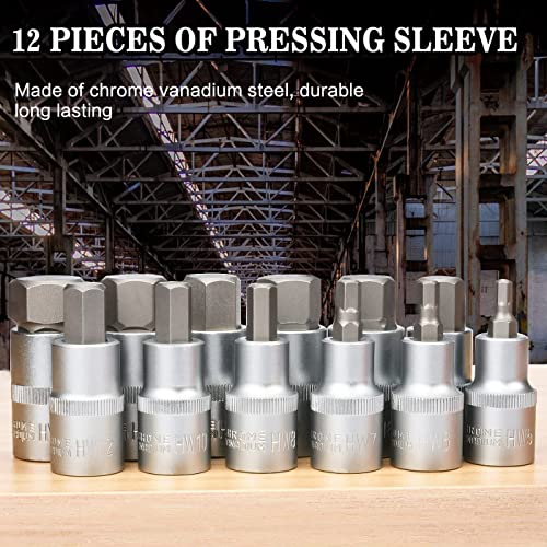 nutmanel Hex Socket Set 1/2 Inch Premium S2 Alloy Steel Socket Set, 12 ...