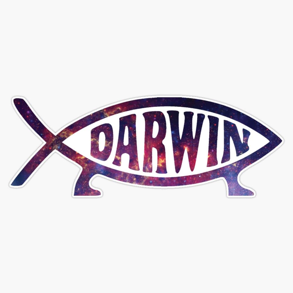 Amazon.com: Darwin Sticker Bumper Sticker Vinyl Decal 5" : Automotive