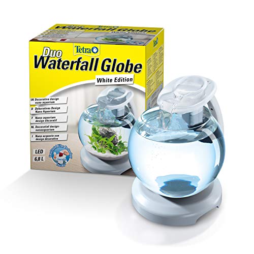 Acheter un aquarium : comment choisir ? – Jardingue