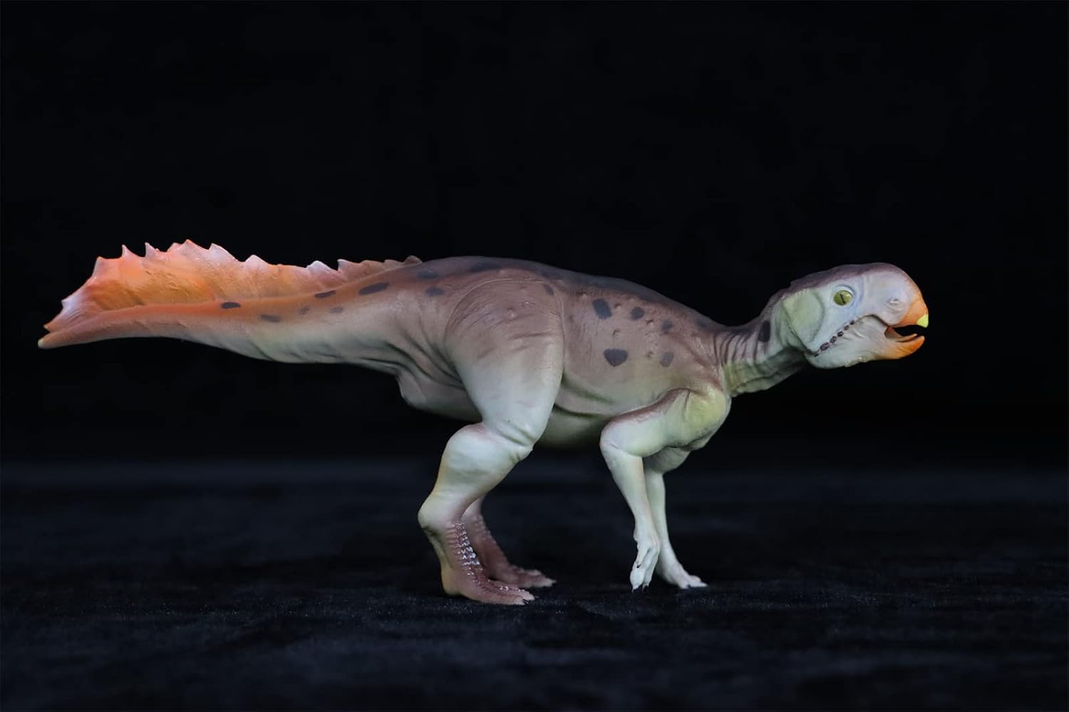 Amazon.com: WLNTDOLA Psittacosaurus Figure Psittacosauridae Dinosaur ...