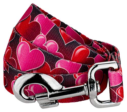 Valentine's Day Dog Leashes