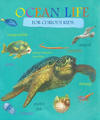 Ocean Picture Books For Kids To Learn About Sea Life