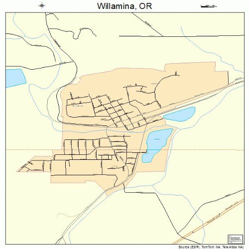 Amazon.com: Large Street & Road Map of Willamina, Oregon OR - Printed ...