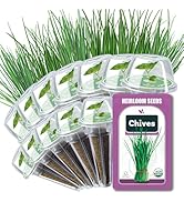 Amazon.com : Lettuce Seed Pod Kit for AeroGarden, Romaine, Butter Head ...