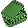 Amazon.com | Aebeky Plastic Fast Food Tray,16.7 by 11.8-Inch,Set of 12 ...