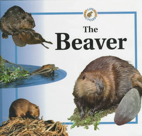 Amazon.com: The Beaver (Life Cycles): 9780817243760: Crewe, Sabrina ...