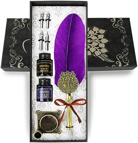 Amazon.com : TIANREN Quill pen ink set,Feather Pen and Ink Set,Antique ...