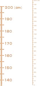 sourcing map Height Chart Ruler Growth Chart 200cm Metric Measure PVC ...