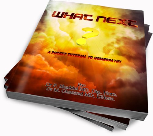 Amazon.com: What Next? eBook : Shaddel, Farshad, Ghazirad, Marjan ...