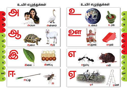 Learn basic Tamil language: Learn Easy Tamil eBook : Tamilan, Legend ...