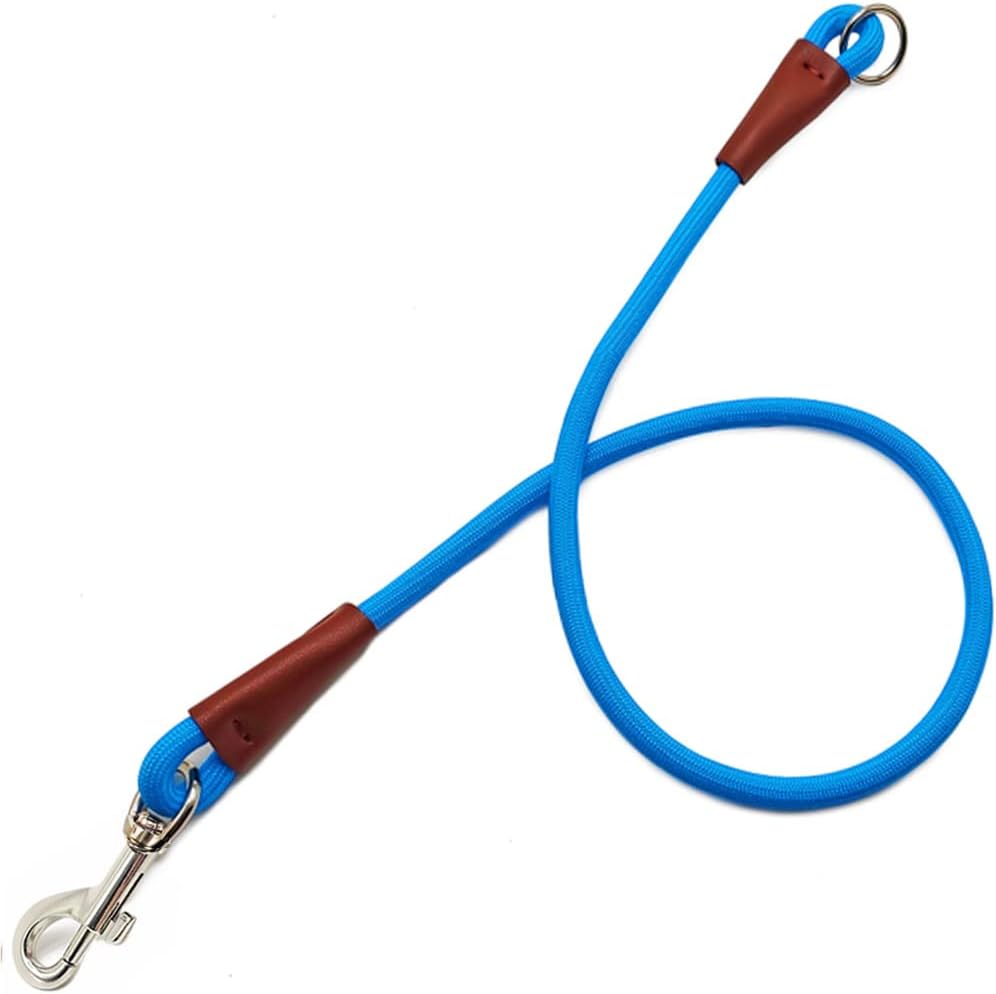 Amazon.com : Mycicy No Handle Dog Leash, Short Tether for Dogs ...