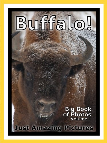 Just Buffalo Pictures! Big Book of Photographs & Photos of Buffalo and ...
