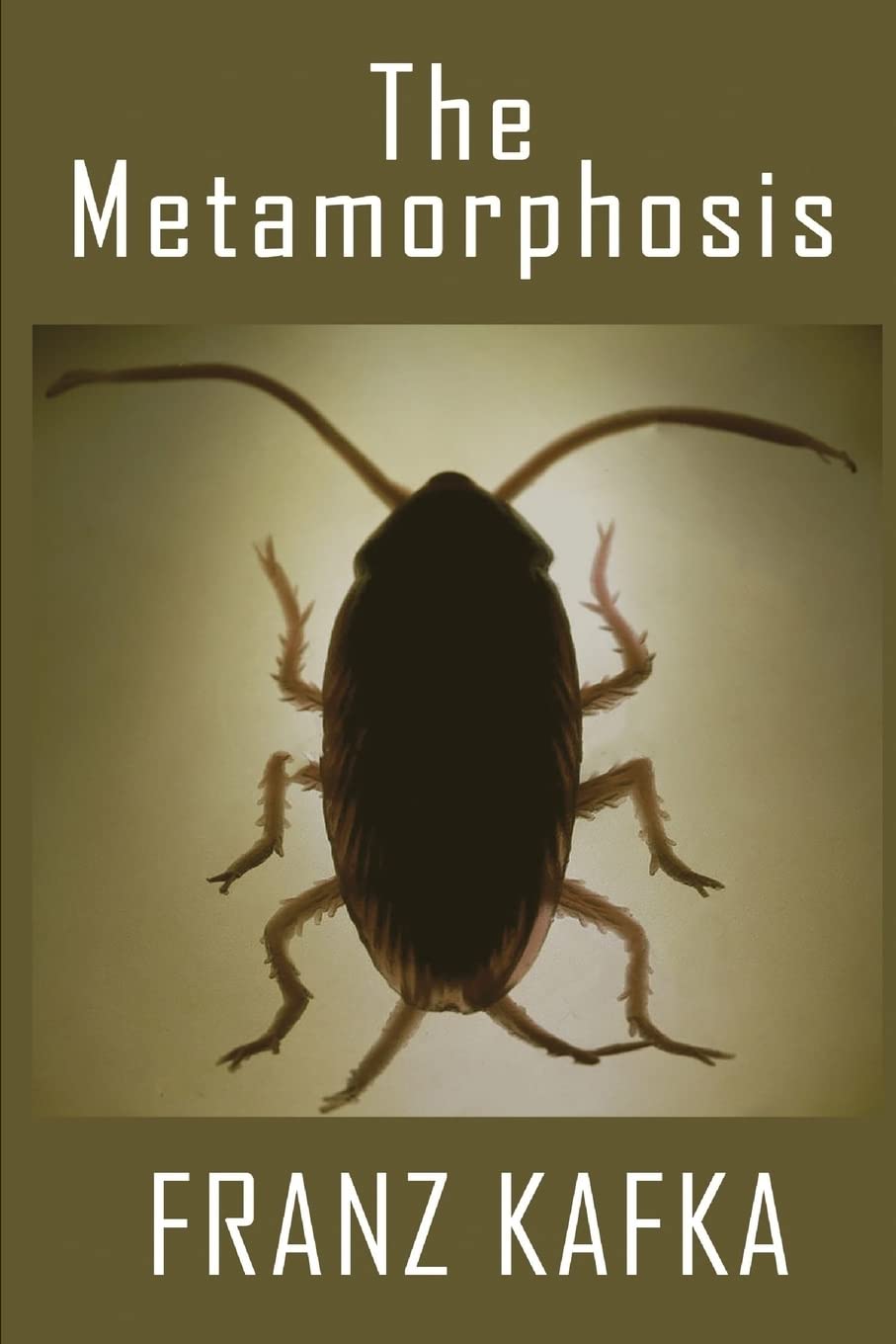 The Metamorphosis: Kafka, Franz: 9781505297058: Amazon.com: Books