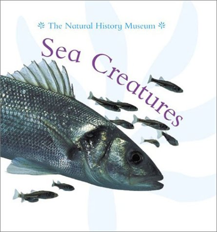 Sea Creatures: Taylor, Barbara: 9781577689690: Amazon.com: Books
