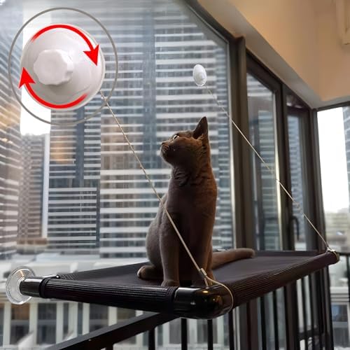 Amazon.com : Cat Bed Window, Cat Window Hammock Window Perch, Safety ...