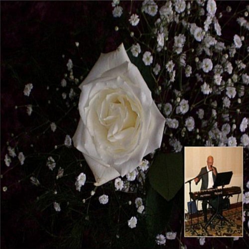 Play "When You're In Love" (feat. One White Rose) by Larry Balderston ...