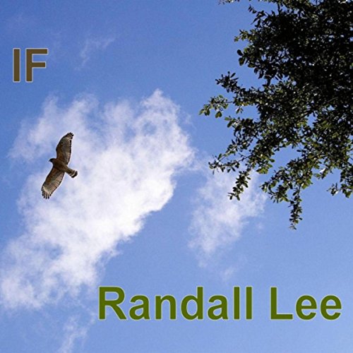 Play If by Randall Lee on Amazon Music