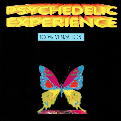 Play Psychedelic Experience (100% Vibration) by VARIOUS ARTISTS on ...