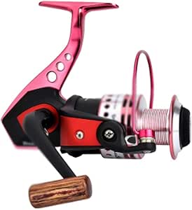 Amazon.com : EVANEM YQYSS Fishing Reel Full Metal Wire Cup 10-axis Reel ...