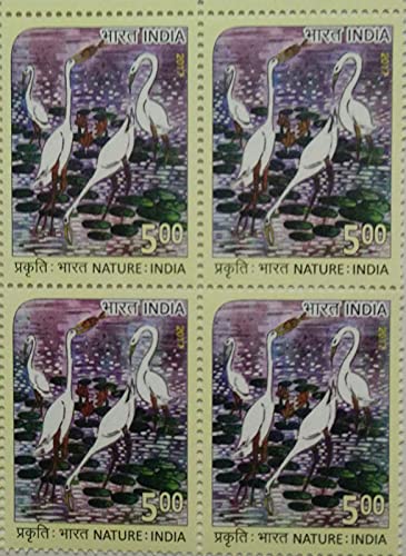 Nature of India; Storks (Block of 4) : Amazon.in: Toys & Games