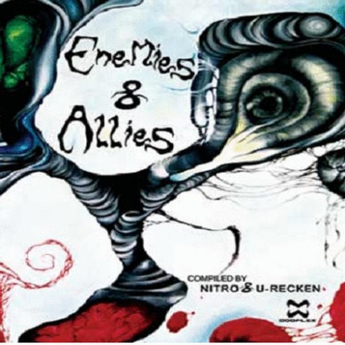 Amazon.com: Enemies & Allies: CDs & Vinyl