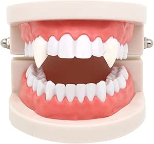 Amazon.com: Cheeroyal 5 Pieces Vampire Fangs Kit 4 Sizes Vampire Teeth ...