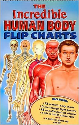 The Incredible Human Body Flip Charts: Kohwai Tam, Moy Shing Yaw ...