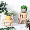 Amazon.com: 4 Pack Wooden Plant Stool Mini Wood Stool Display Plant ...