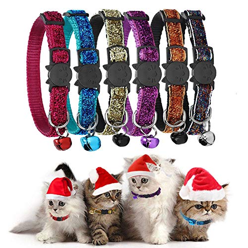 Collier Chat - Découvrez les Meilleurs Colliers pour Chat avec clochette