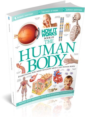 How it Works Book of The Human Body: Imagine Publishing: 9781908955876 ...
