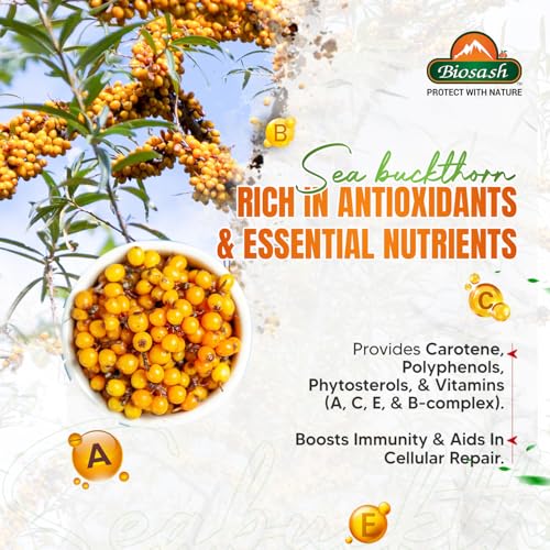 Biosash Himalayan Sea Buckthorn Pulp Concentrate 750ml | Cold-Pressed ...