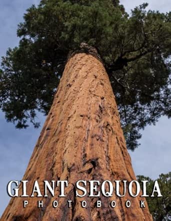 Amazon.com: A Photo Book Of Giant Sequoia: A Great Gift With Compelling ...