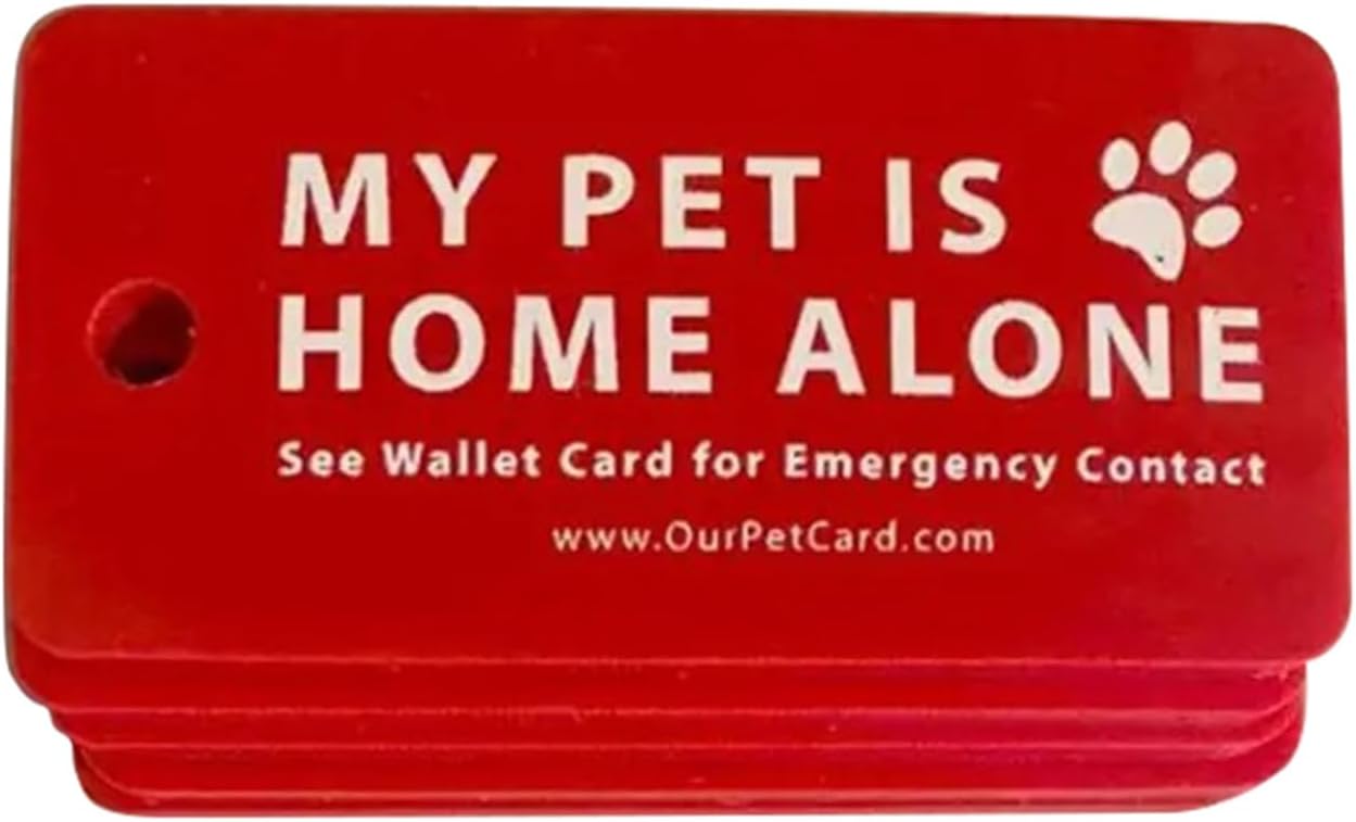 Amazon.com: Dog Cat are Home Alone Alert Card & Key Tags with Contact ...