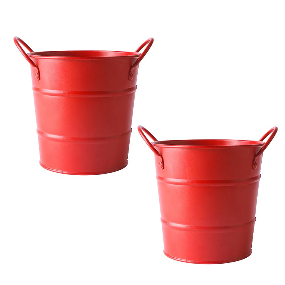 Amazon.com: 2 Pack Stainless Steel Small Buckets, Mini Metal Bucket ...