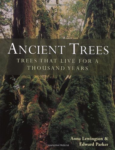 Ancient Trees: Trees That Live For 1,000 Years: Lewington, Anna, Parker ...