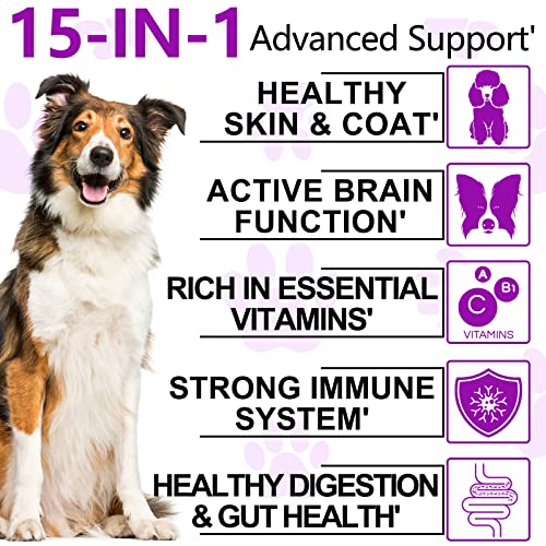 15 in 1 Multivitamin for Dogs, 150 Counts Dog Vitamins and Supplements ...