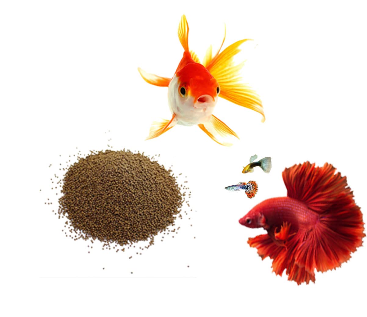 Colourful - Hi Protein & Fiber Fish Food for All Types of Aquarium Fish ...