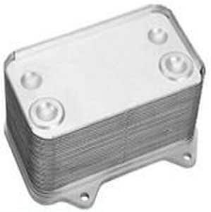 Amazon.com: HZYCKJ Engine Oil Cooler Compatible For Truck Daf Xf95 Xf97 ...