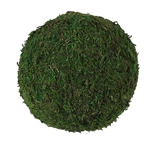Amazon.com: 6" Diameter Decorative Round Moss Balls-Pack of 4 : Home ...