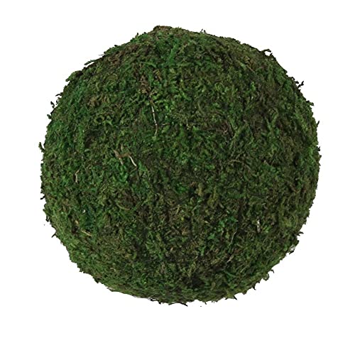 Amazon.com: 6" Diameter Decorative Round Moss Balls-Pack of 4 : Home ...